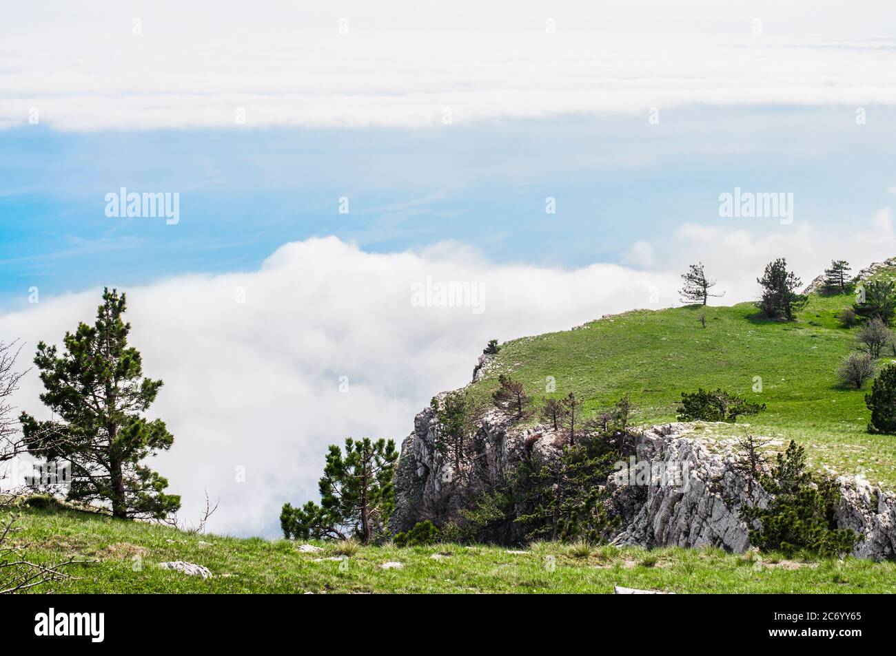 Photo from top of Ai-Petri mountain, tree grows on rock, beautiful ...