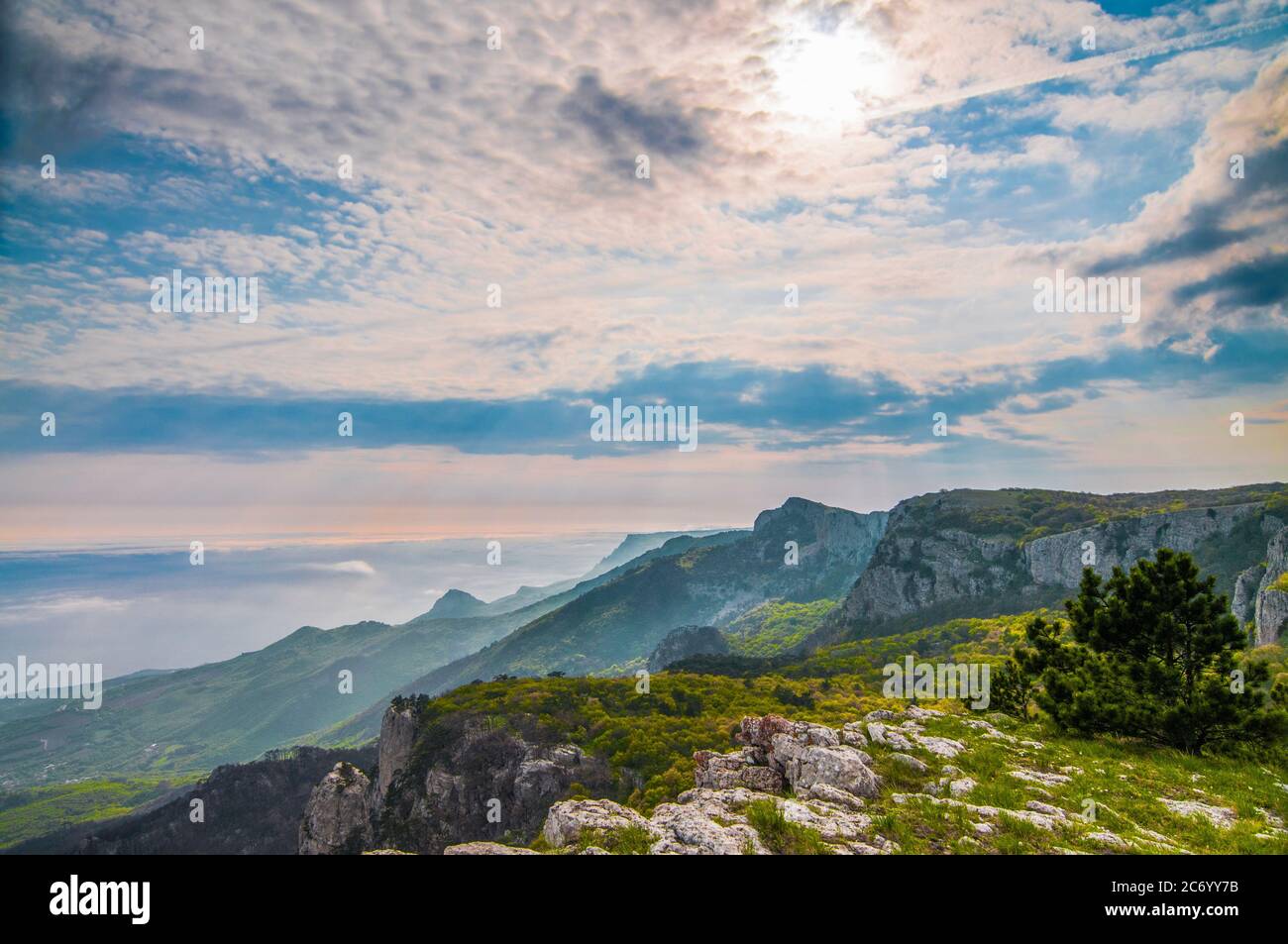 Photo from top of Ai-Petri mountain, tree grows on rock, beautiful ...