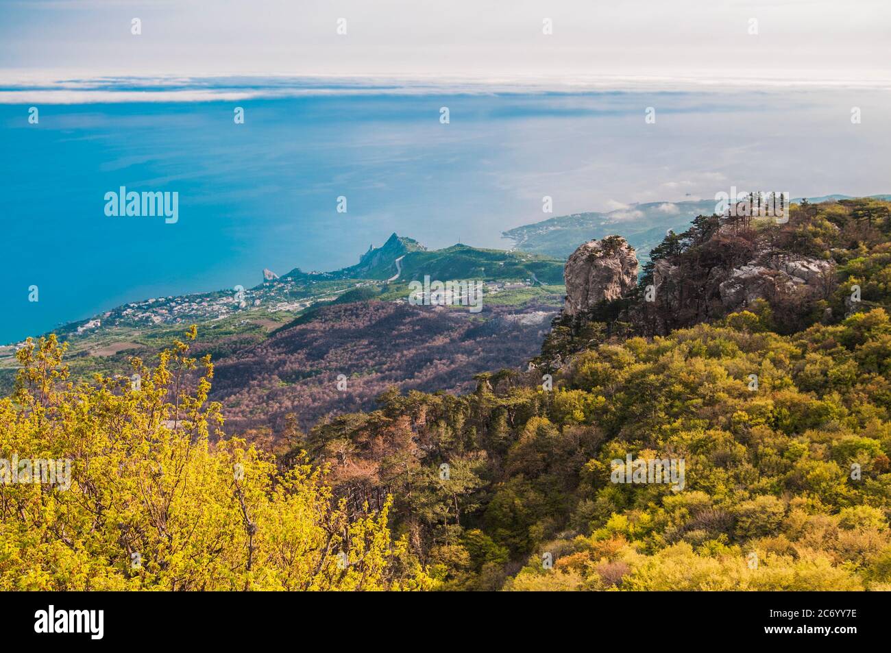 Photo from top of Ai-Petri mountain, tree grows on rock, beautiful ...