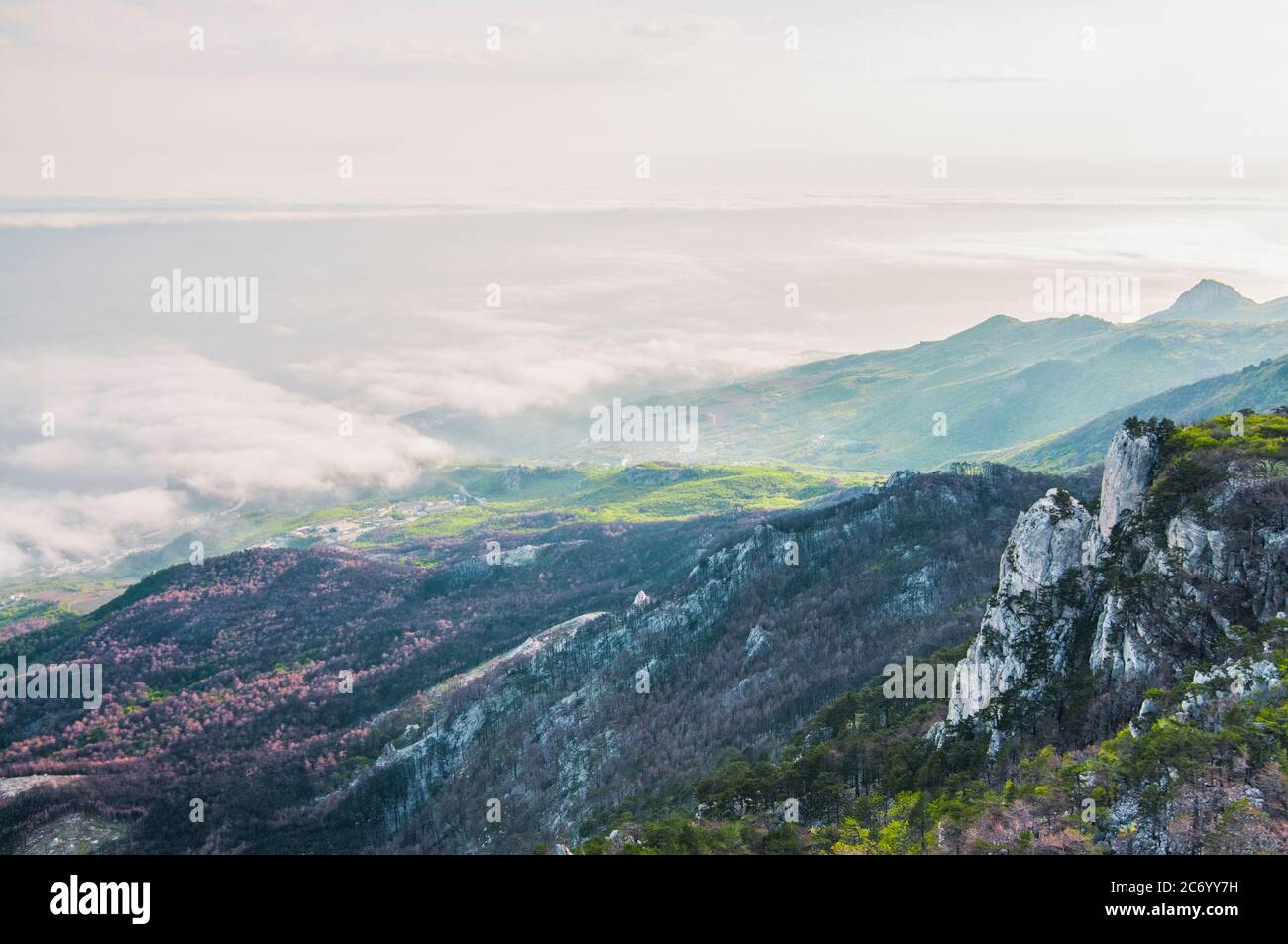 Photo from top of Ai-Petri mountain, tree grows on rock, beautiful ...