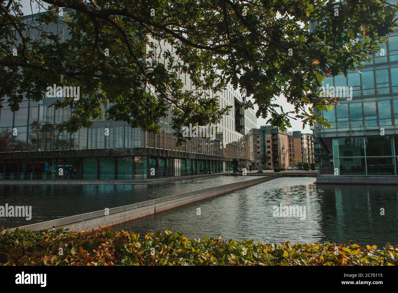 Selective focus of tree and bushes on walkway with buildings and canal ...