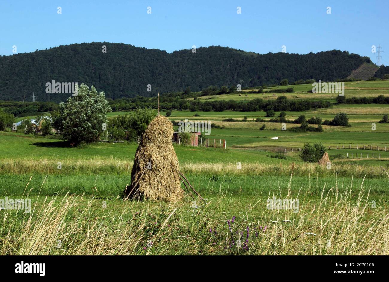 Historic Haystack Romania Green Field Stock Photo - Alamy