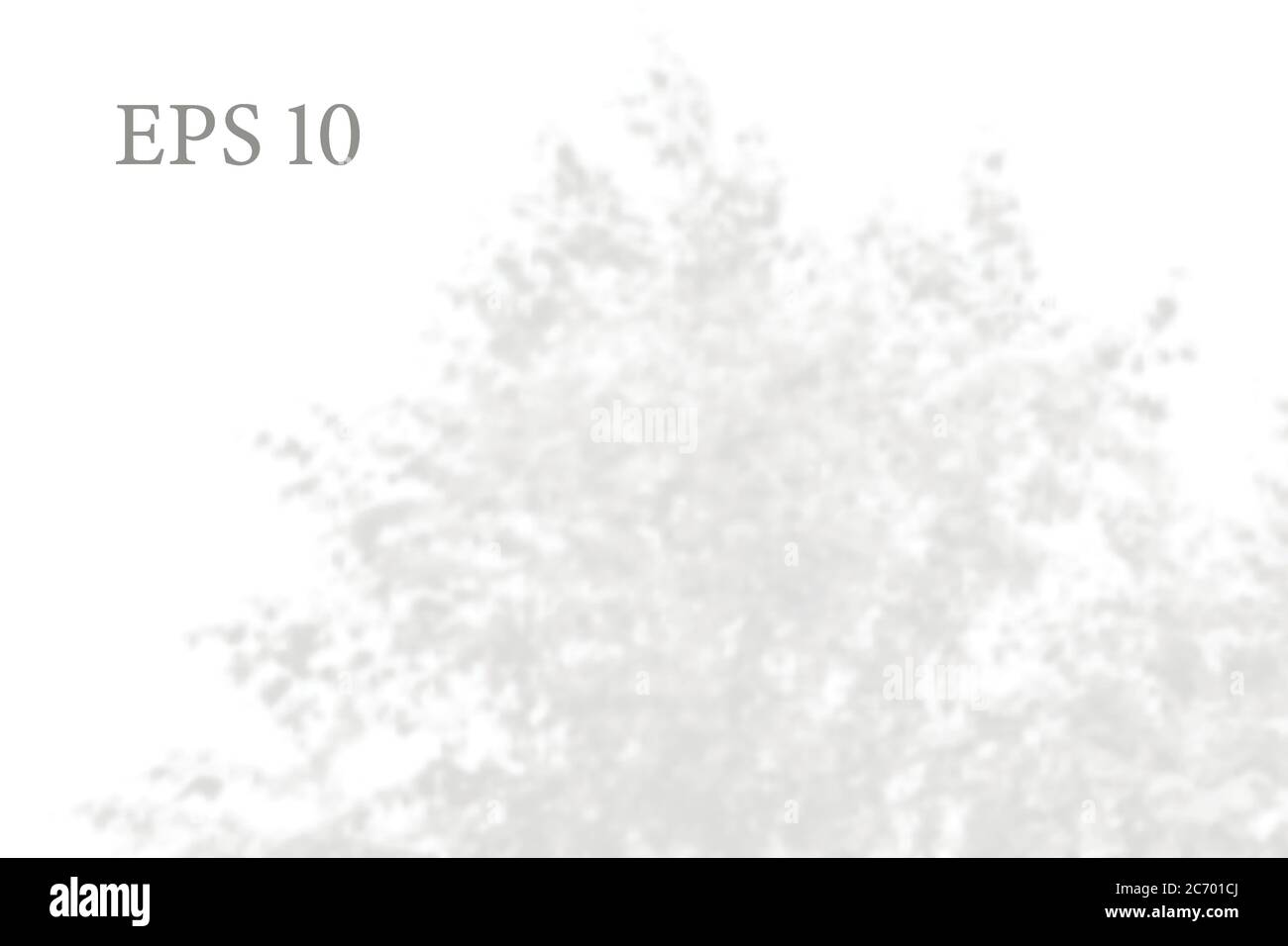 Transparent natural birch tree branches shadow. Light effect overlay ...