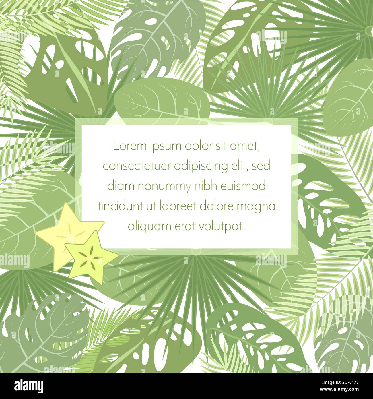 Tropic leaves background with frame for your text. Exotic banner ...