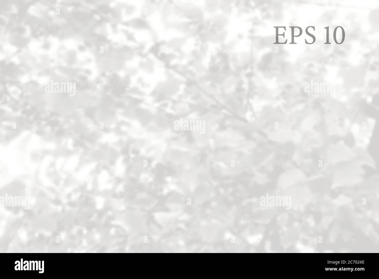 Transparent natural apple tree branches shadow. Light effect overlay ...