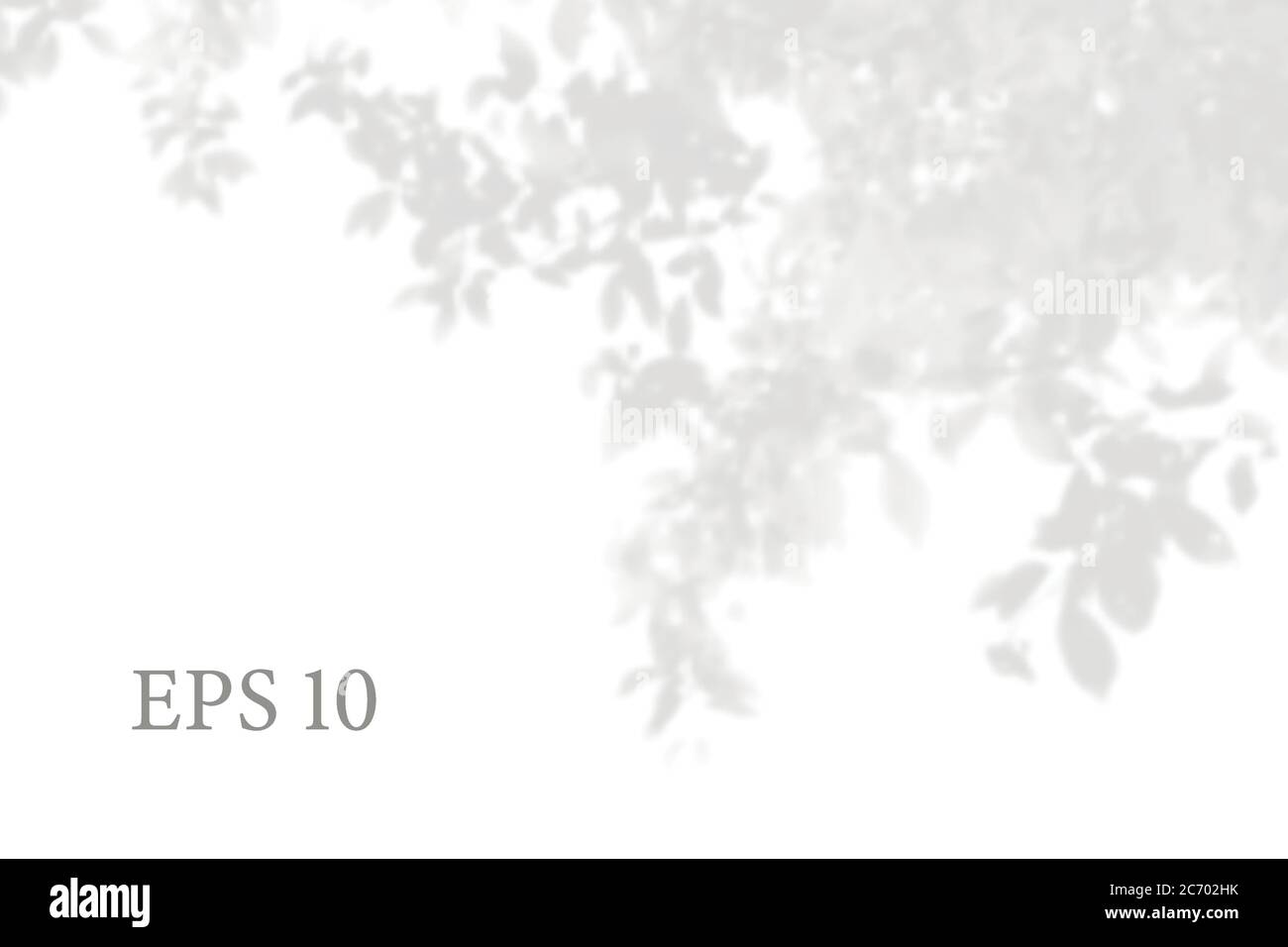 Transparent natural apple tree branches shadow. Light effect overlay ...