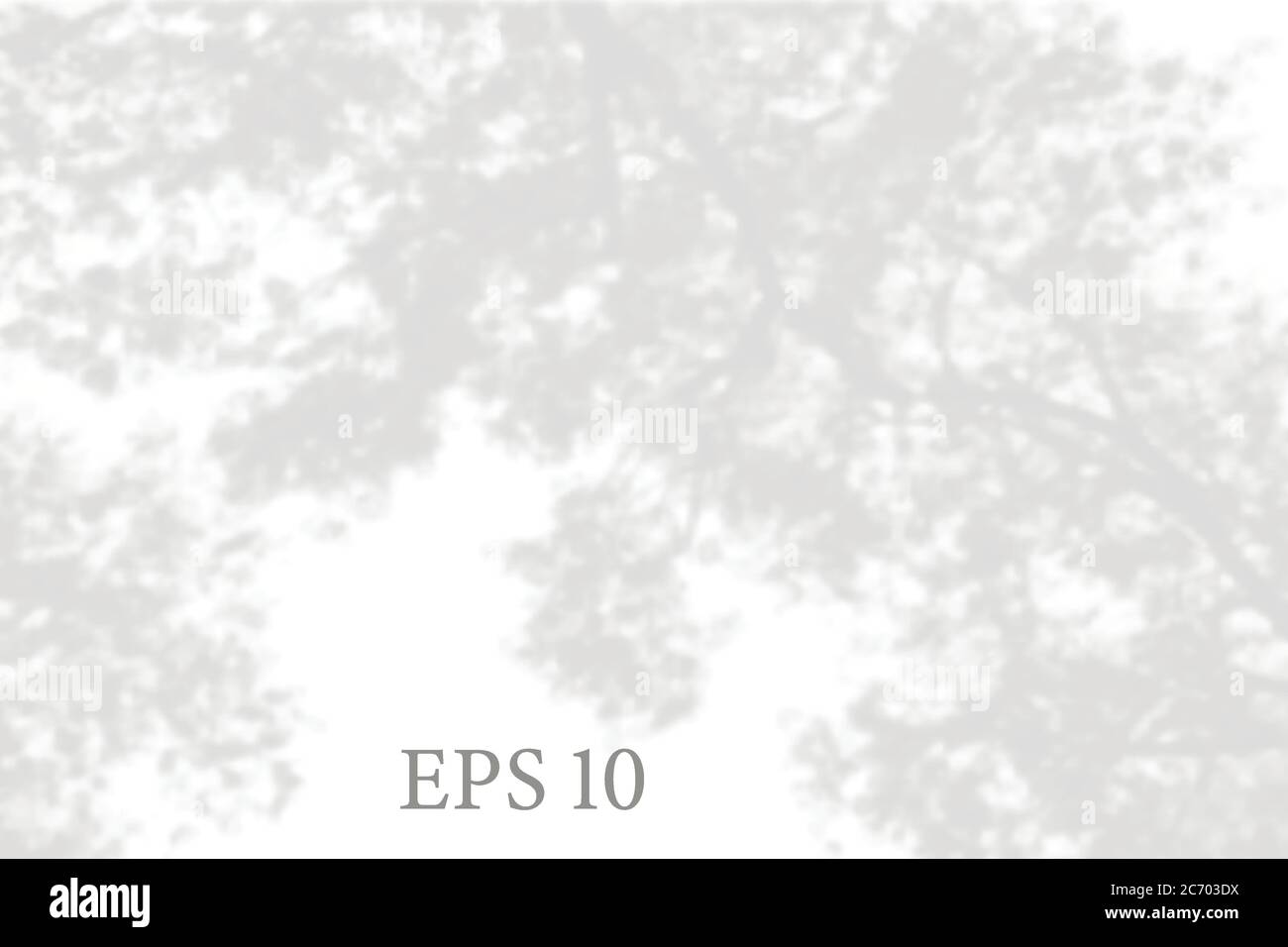 Transparent natural linden tree branches shadow. Light effect overlay ...