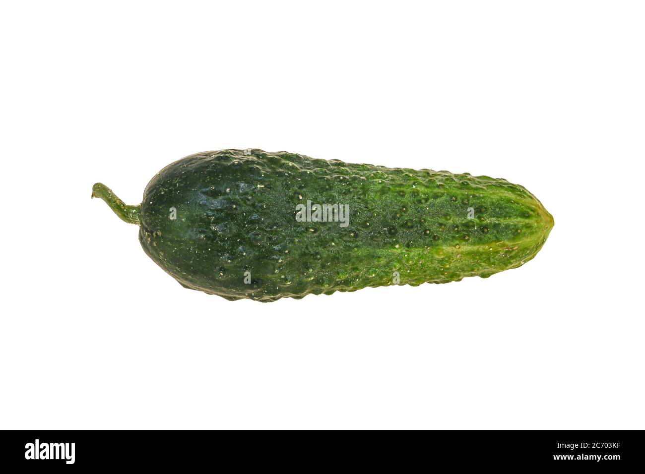 Green ripe fresh one cucumber over background Stock Photo - Alamy