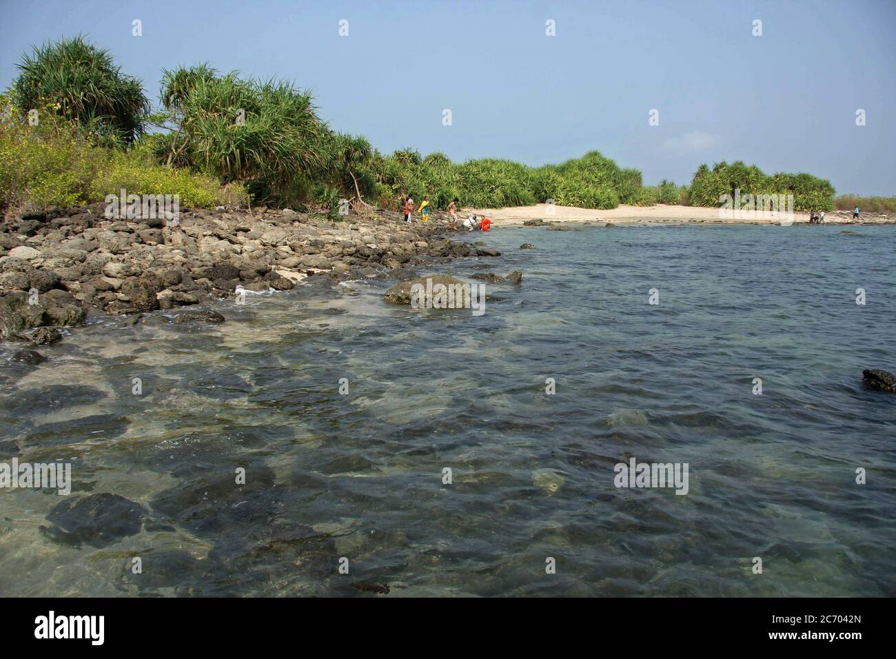 Narikel jinjira hi-res stock photography and images - Alamy