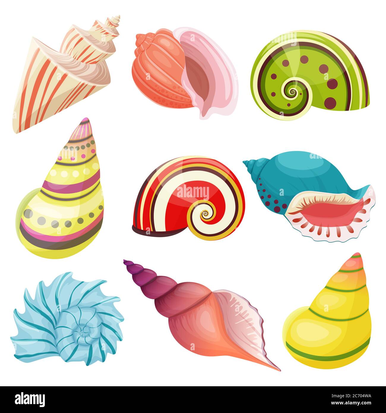 Realistic beautiful colorful vector seashells collection set Stock ...