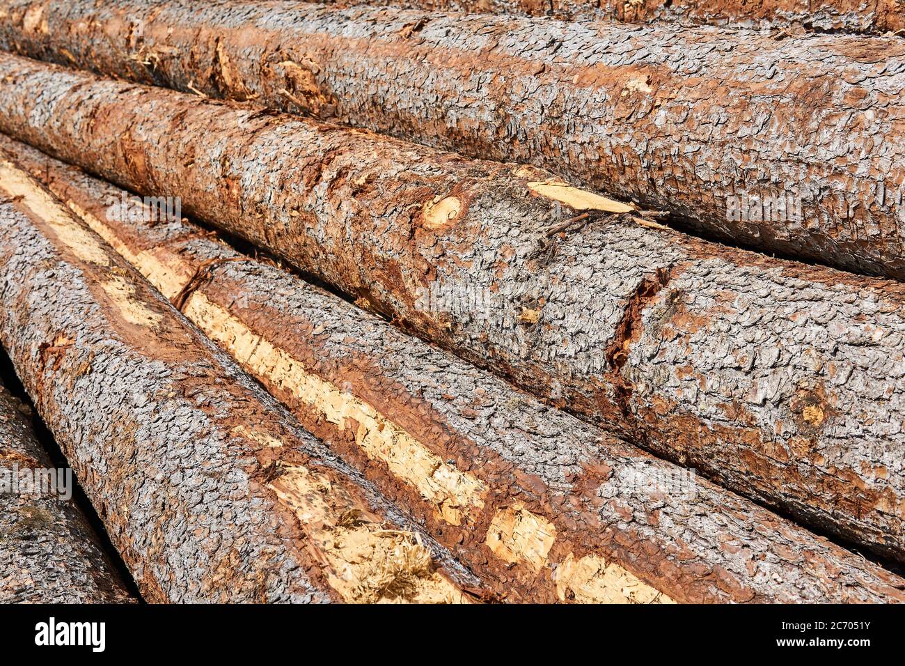 Unbarked timber hi-res stock photography and images - Alamy