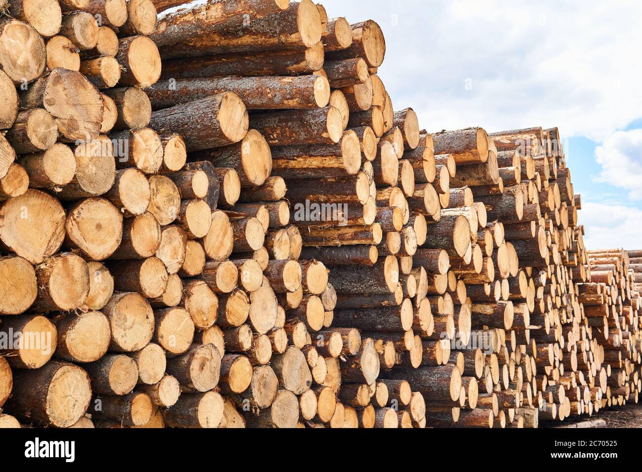 Unbarked timber hi-res stock photography and images - Alamy