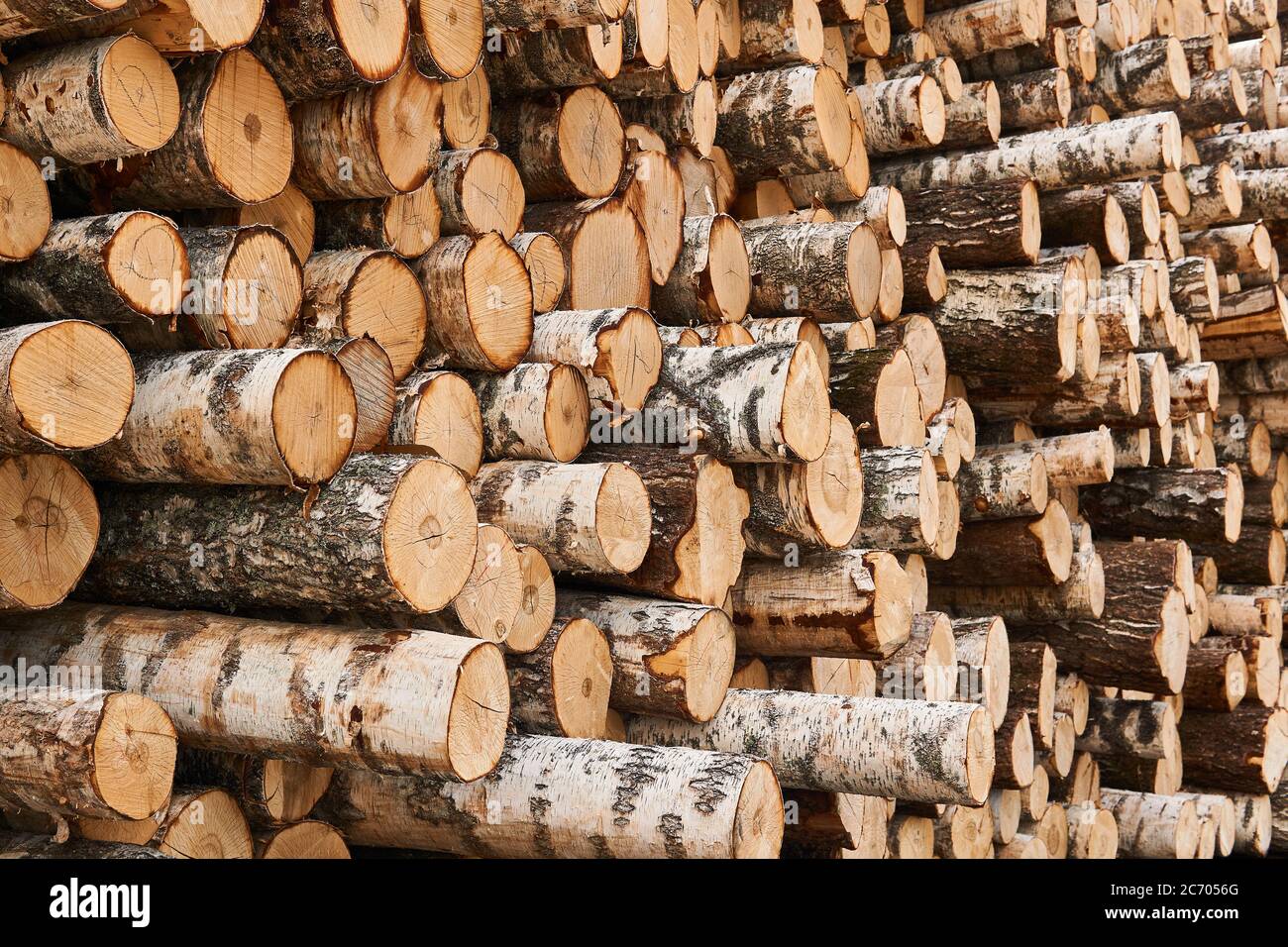 Loading Pulp Wood High Resolution Stock Photography and Images - Alamy