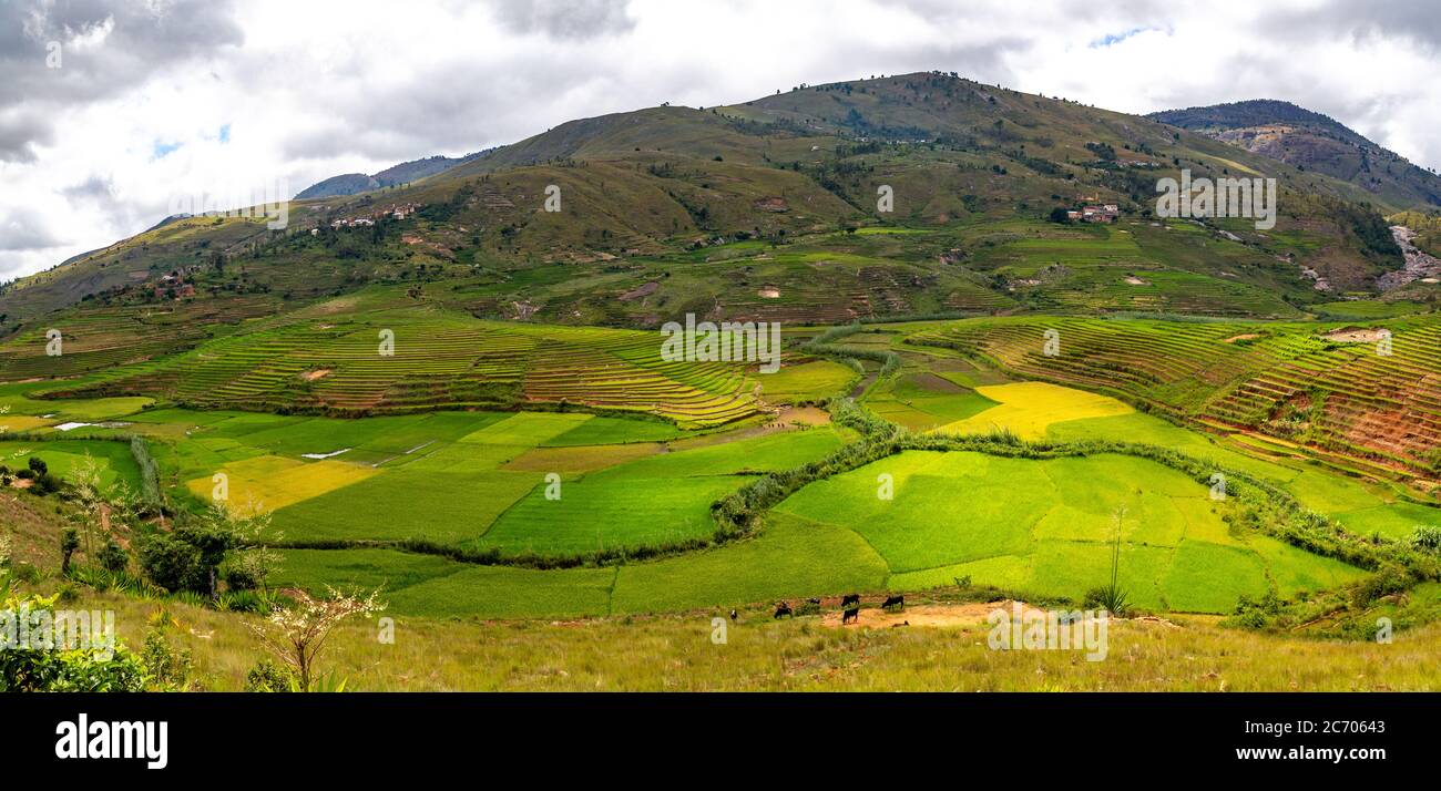 A Landscape shots of the island of Madagascar Stock Photo - Alamy