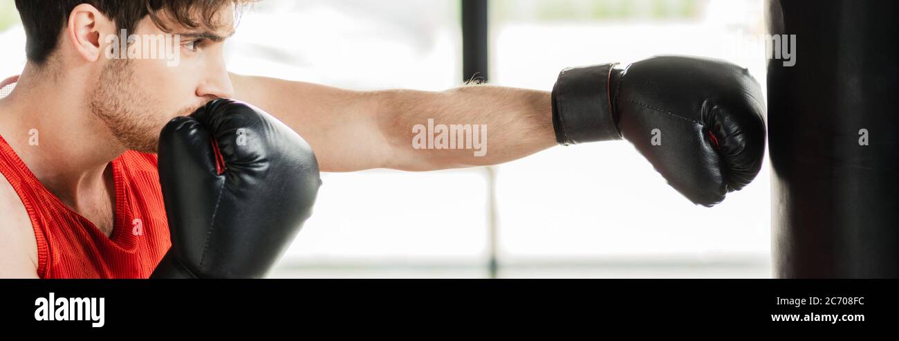 horizontal concept of athletic sportsman in boxing gloves working out ...