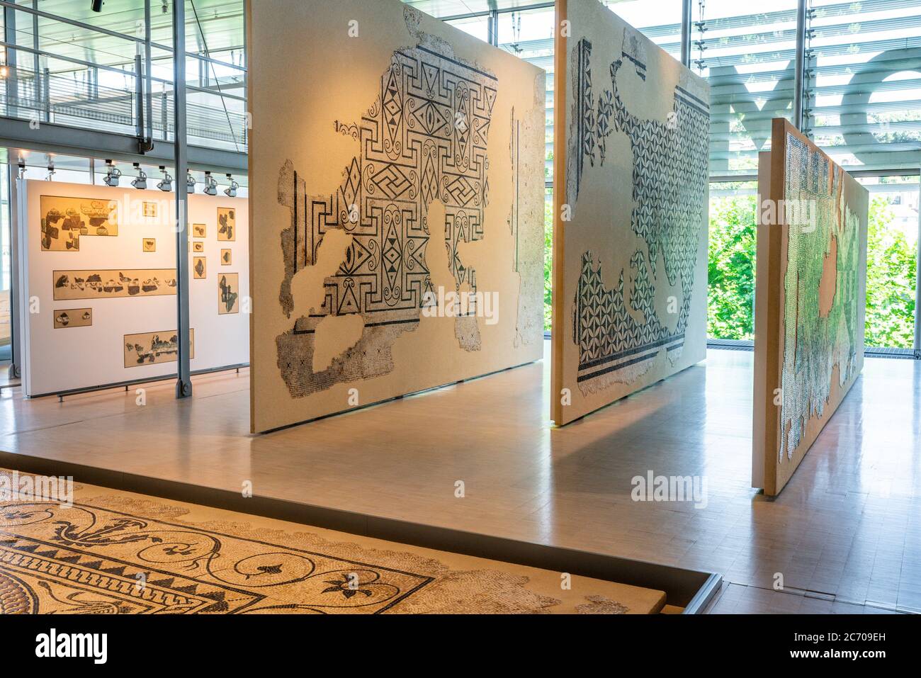 Saint-Romain-en-Gal France, 11 July 2020 : Ancient Roman mosaic in the ...