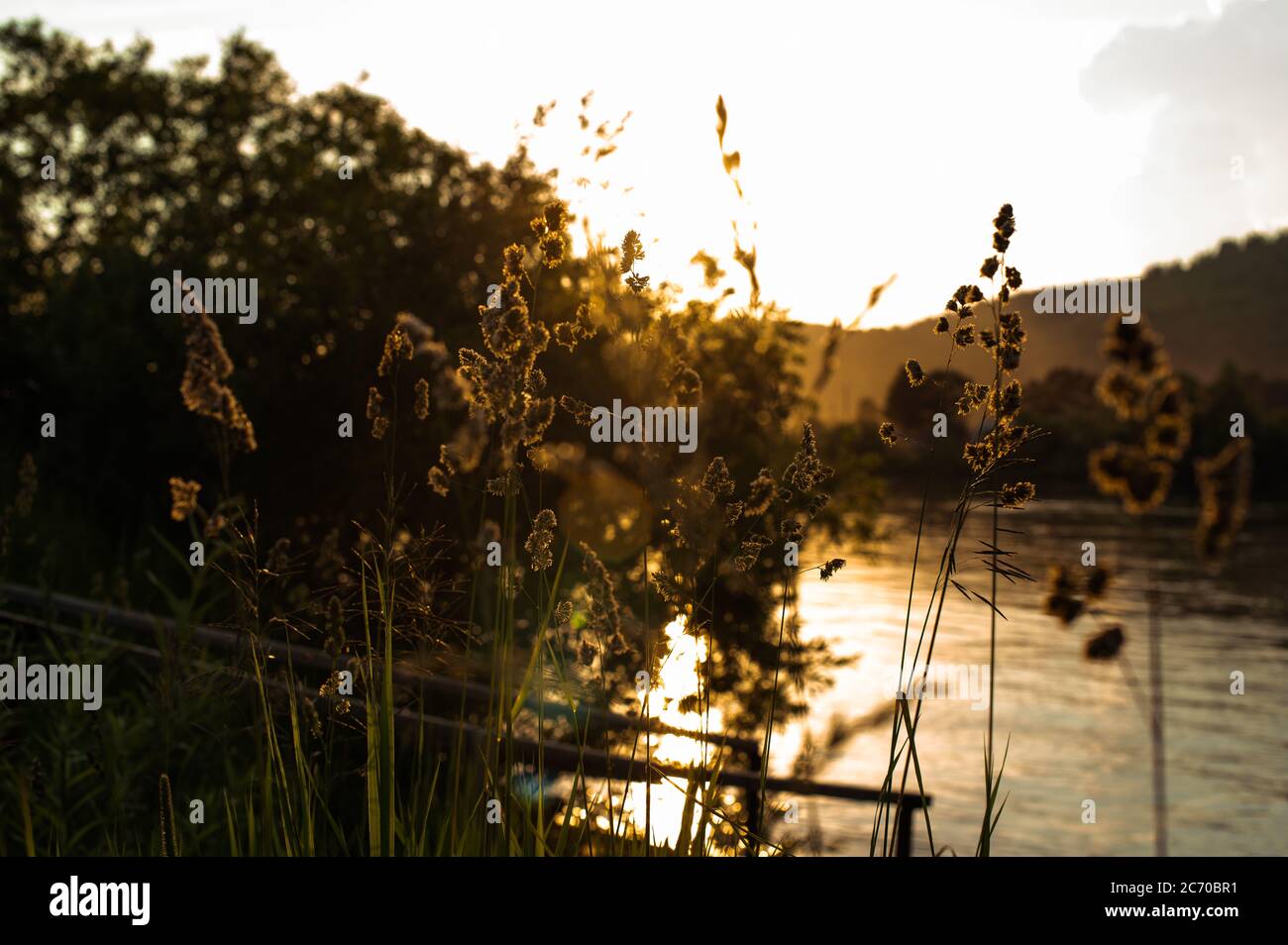 Sunset soft cloud forest lake hi-res stock photography and images - Alamy