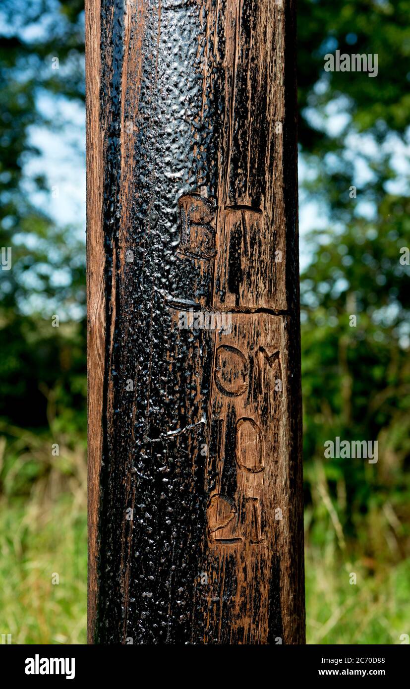 Creosote treated wood hi-res stock photography and images - Alamy