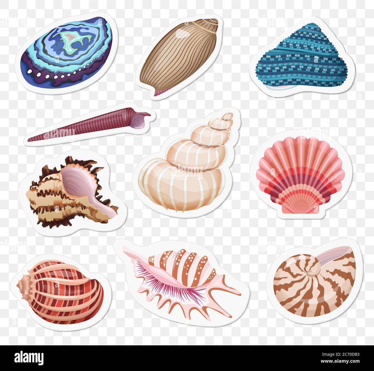 Colorful shells Stock Vector Images - Alamy