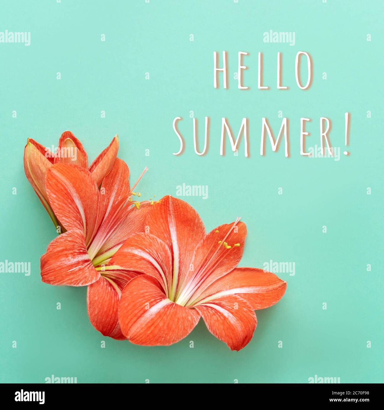Hello Summer High Resolution Stock Photography and Images - Alamy
