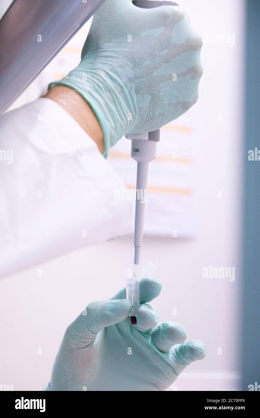 Fat cell hi-res stock photography and images - Alamy