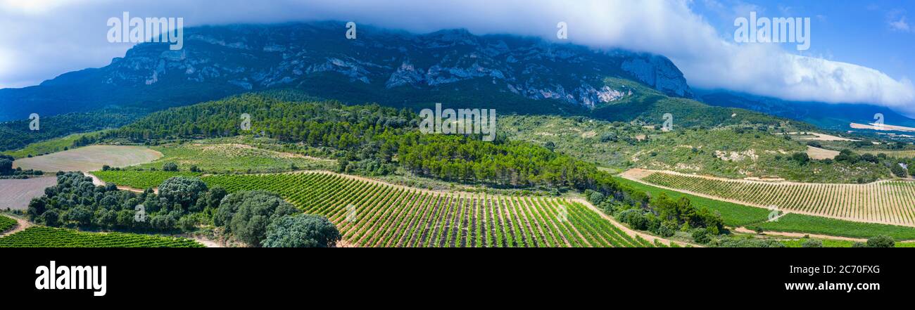 Landscape of vineyards and forest in the Sierra de Cantabria from a ...