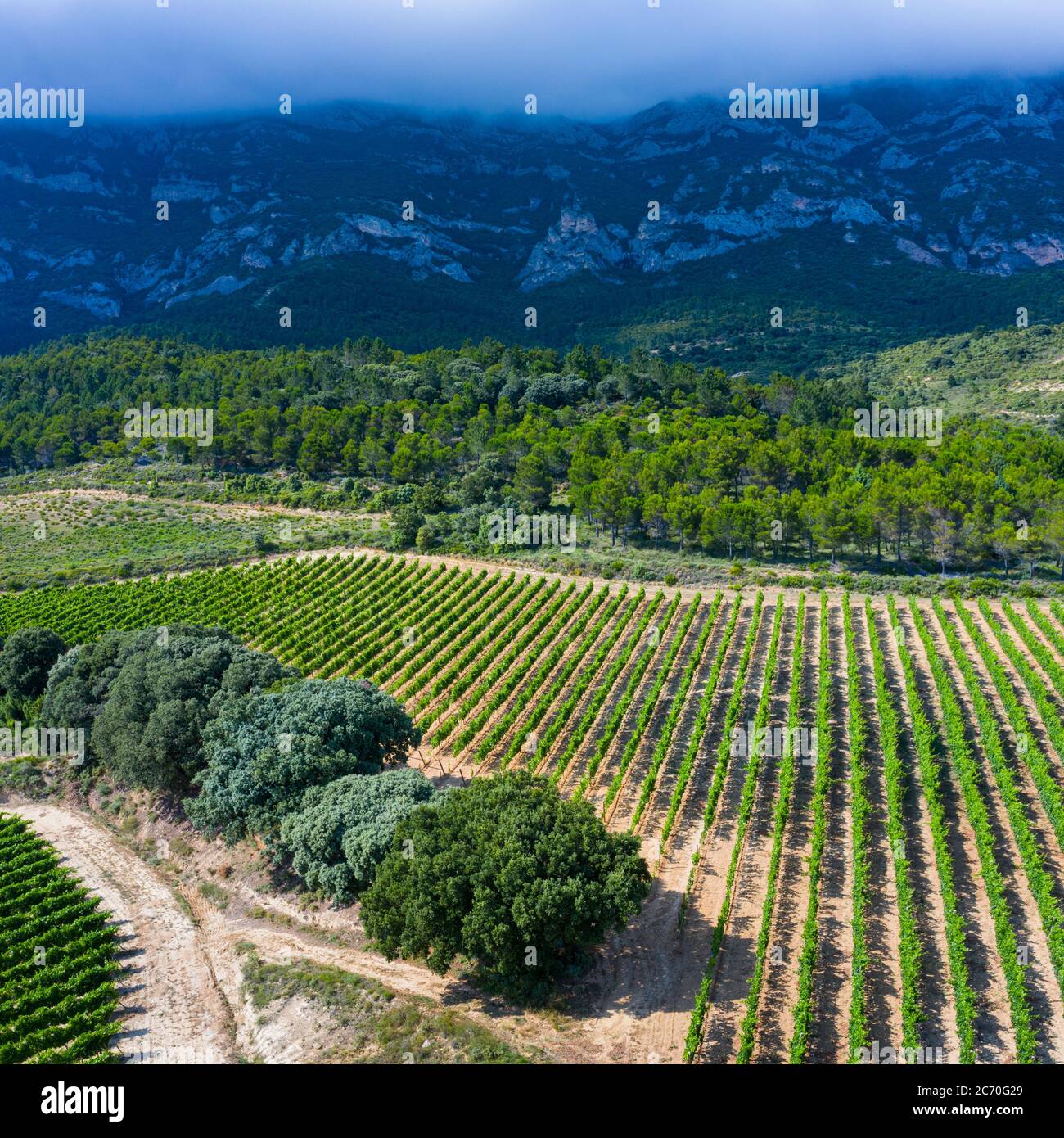 Landscape of vineyards and forest in the Sierra de Cantabria from a ...