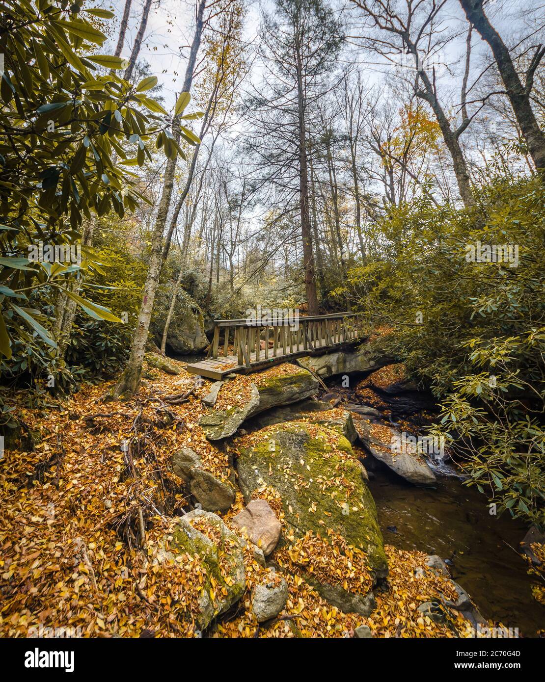 A small bridge crosses a rocky creek along a hiking trail through the ...