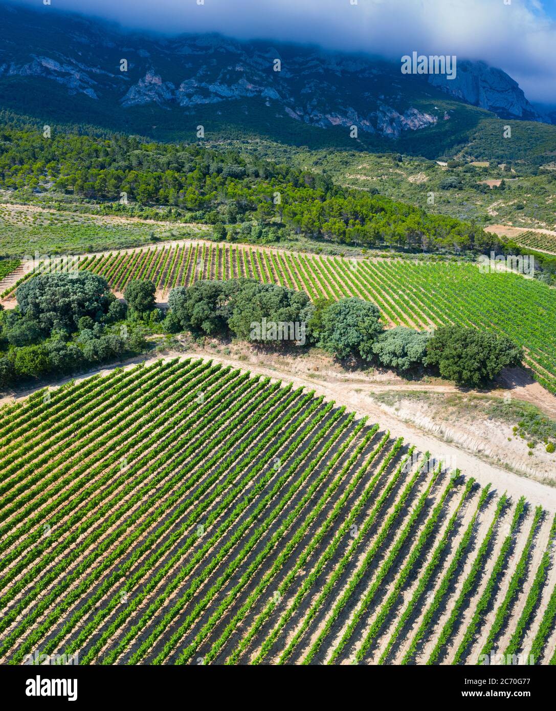 Landscape of vineyards and forest in the Sierra de Cantabria from a ...