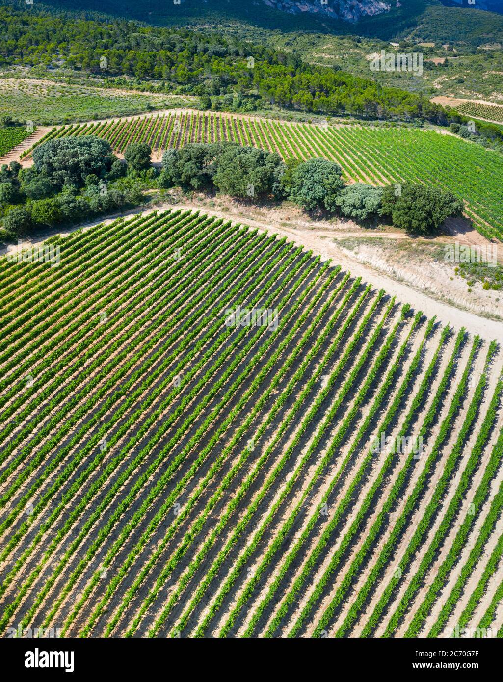 Landscape of vineyards and forest in the Sierra de Cantabria from a ...