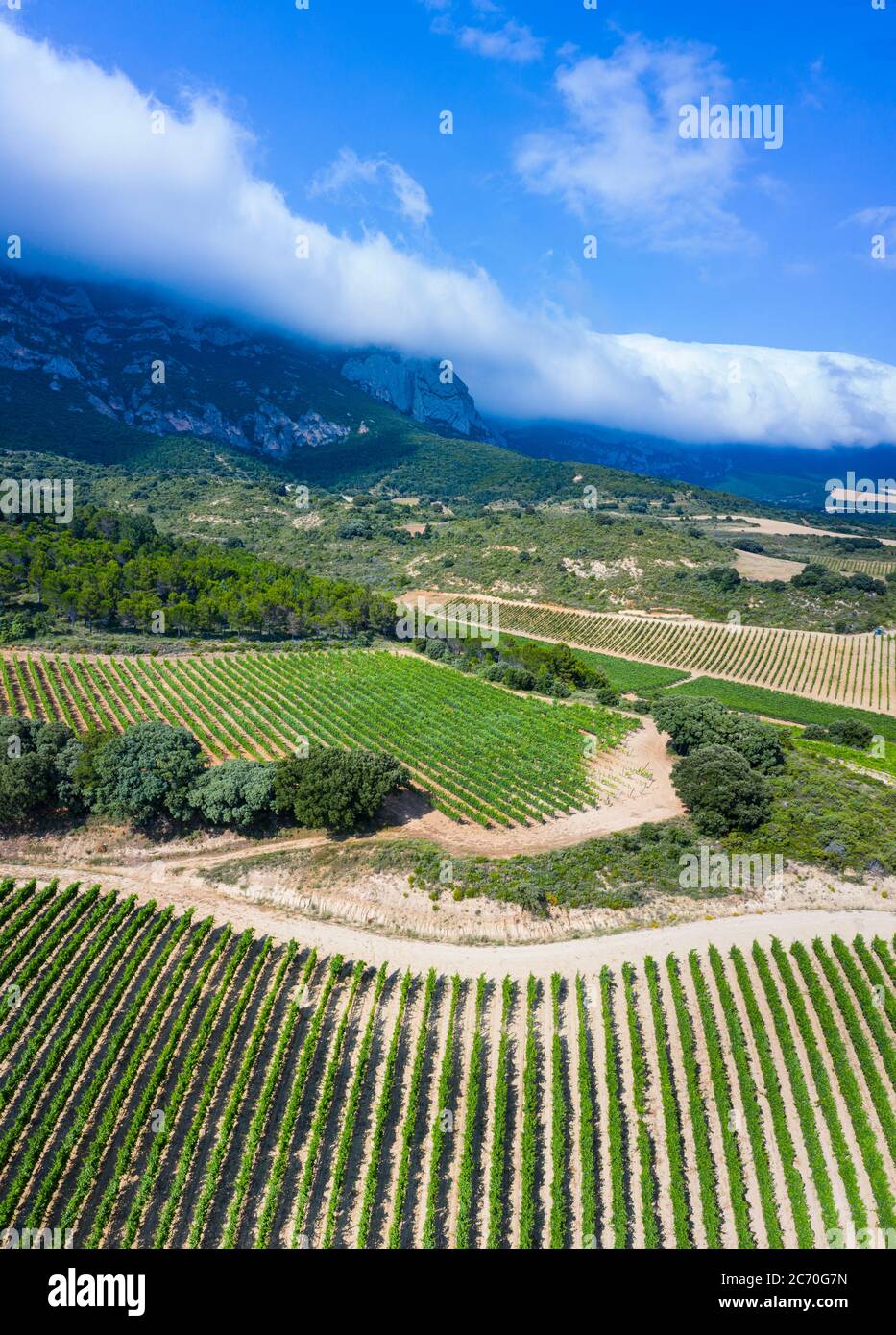 Landscape of vineyards and forest in the Sierra de Cantabria from a ...