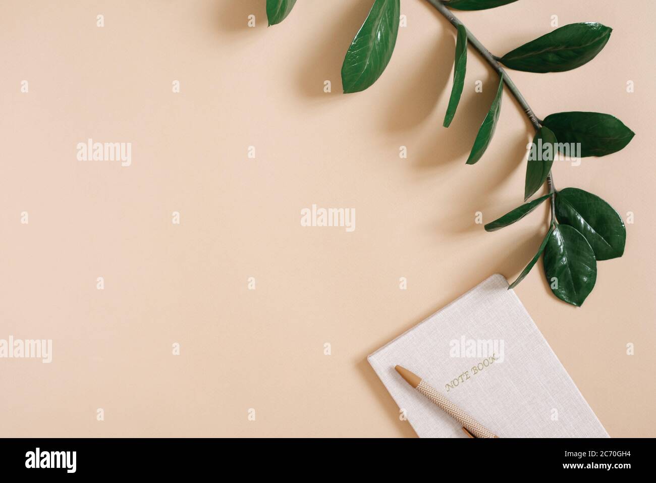 Modern beige office Desk. A table with a diary, a pen and a green ...