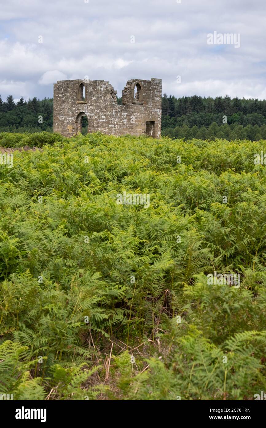 Skelton tower north york moors hi-res stock photography and images - Alamy