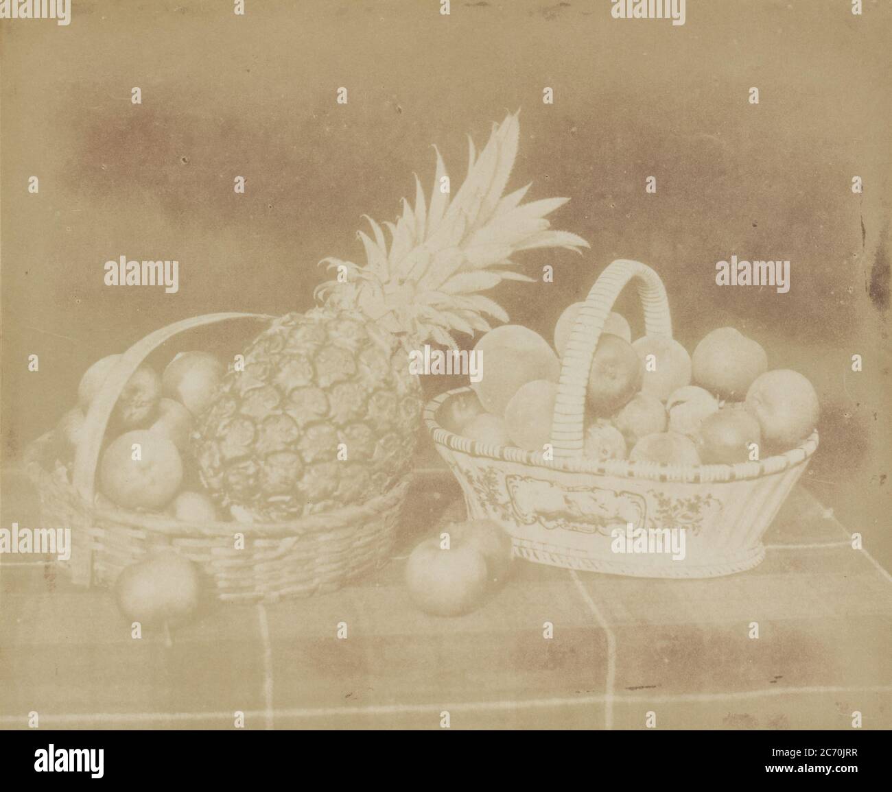 Pineapple fruit ananas sativus hi-res stock photography and images - Alamy