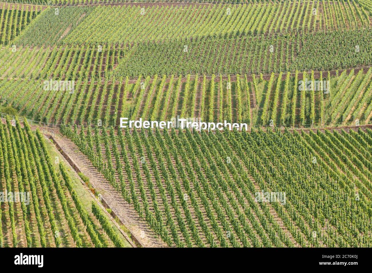 Weinlage Erdener Treppchen bei Erden an der Mosel, Rheinland-Pfalz ...