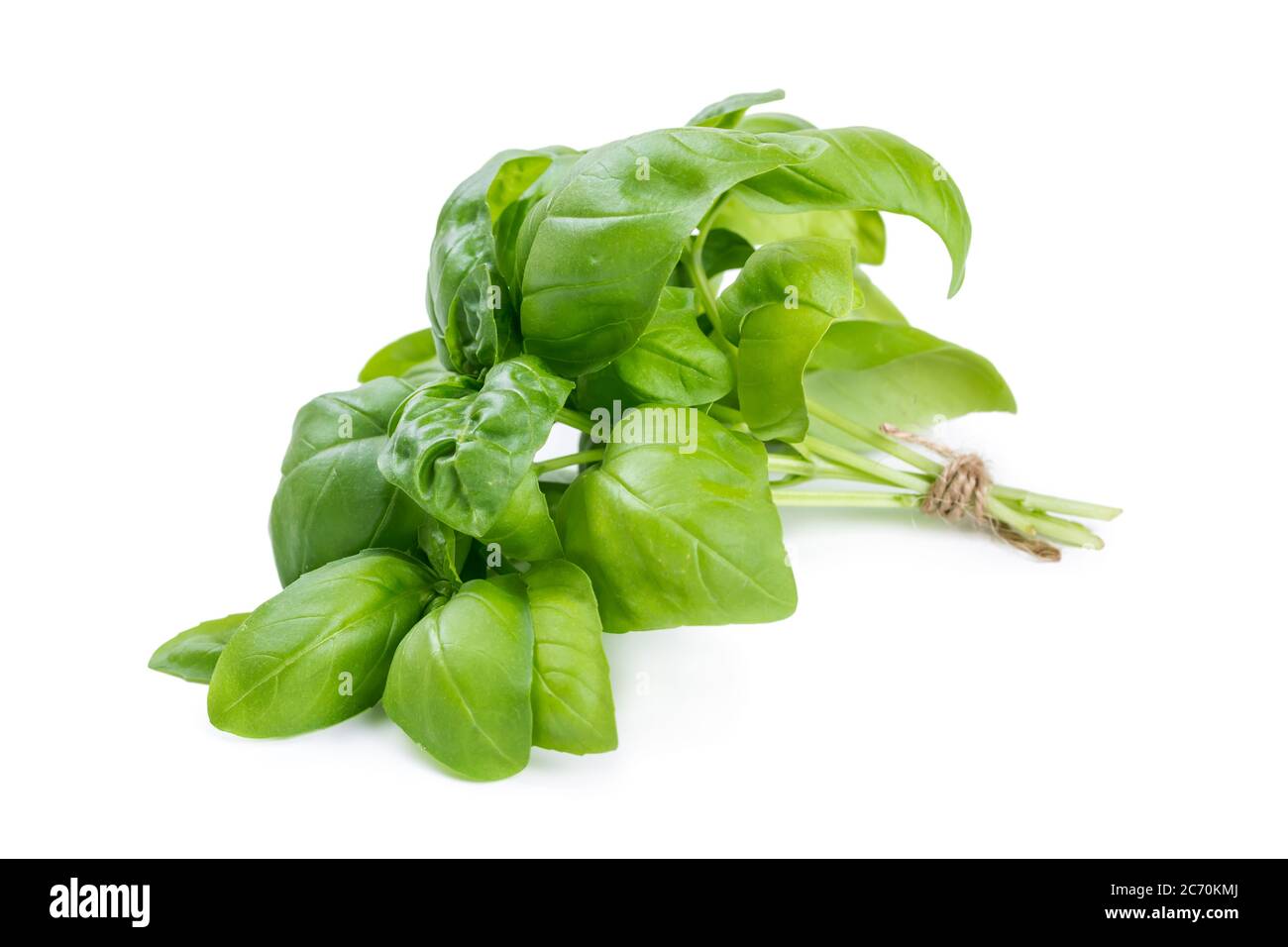 Bunch of basil isolated on white background Stock Photo - Alamy