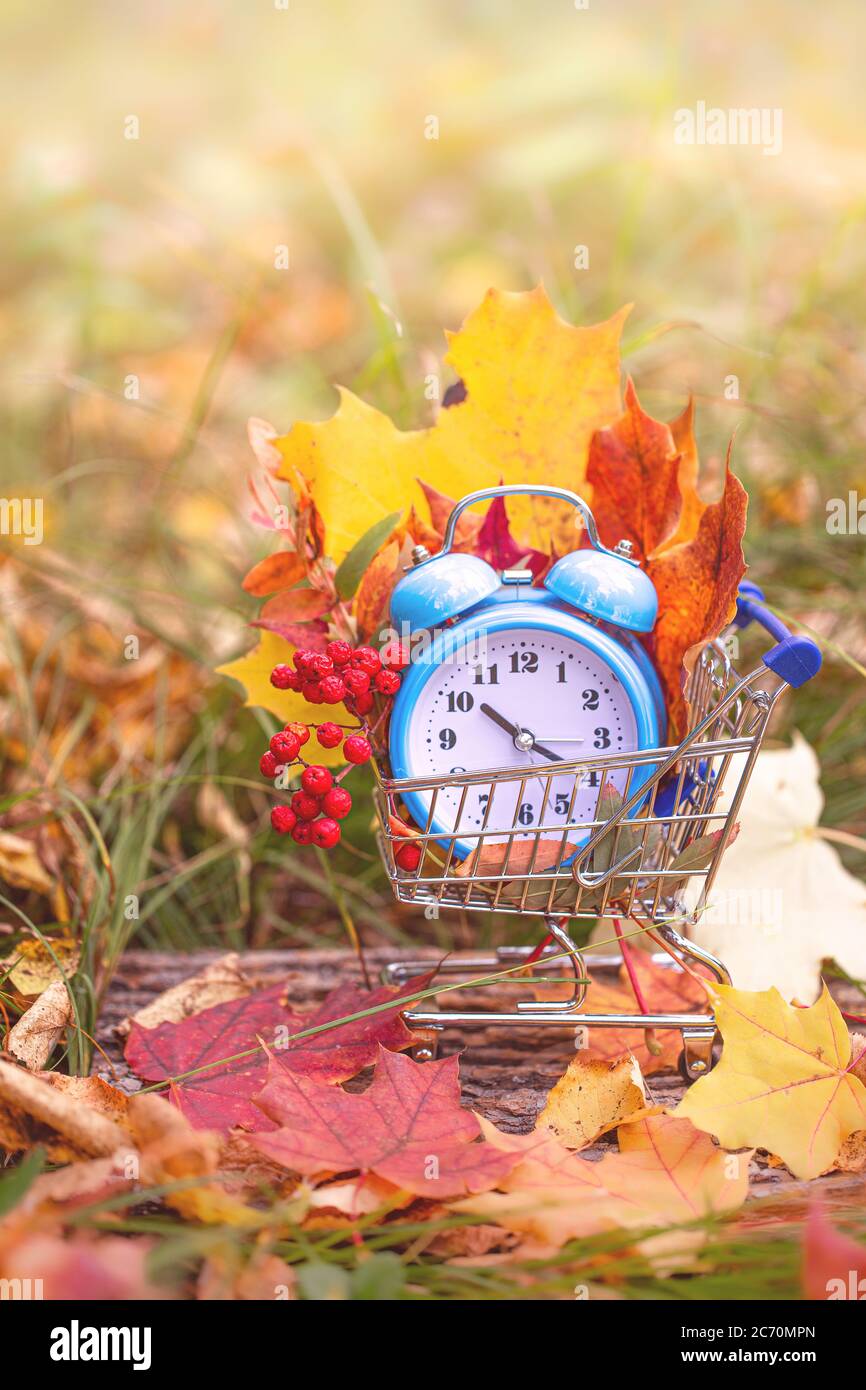 Vintage alarm clock and maple tree leaves in autumn forest. Autumn ...