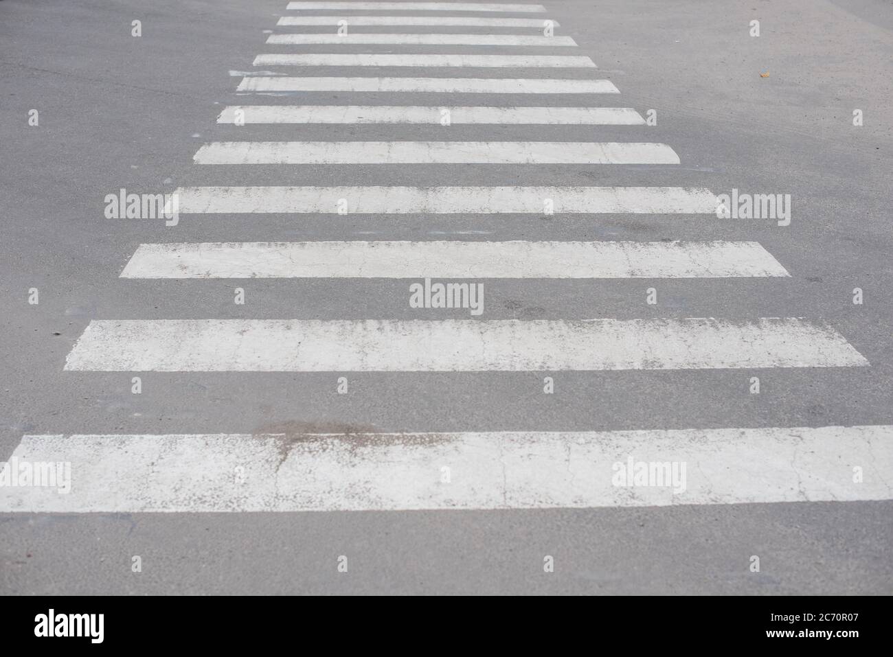 Zebra crosswalk on the road for safety when people walking cross the ...