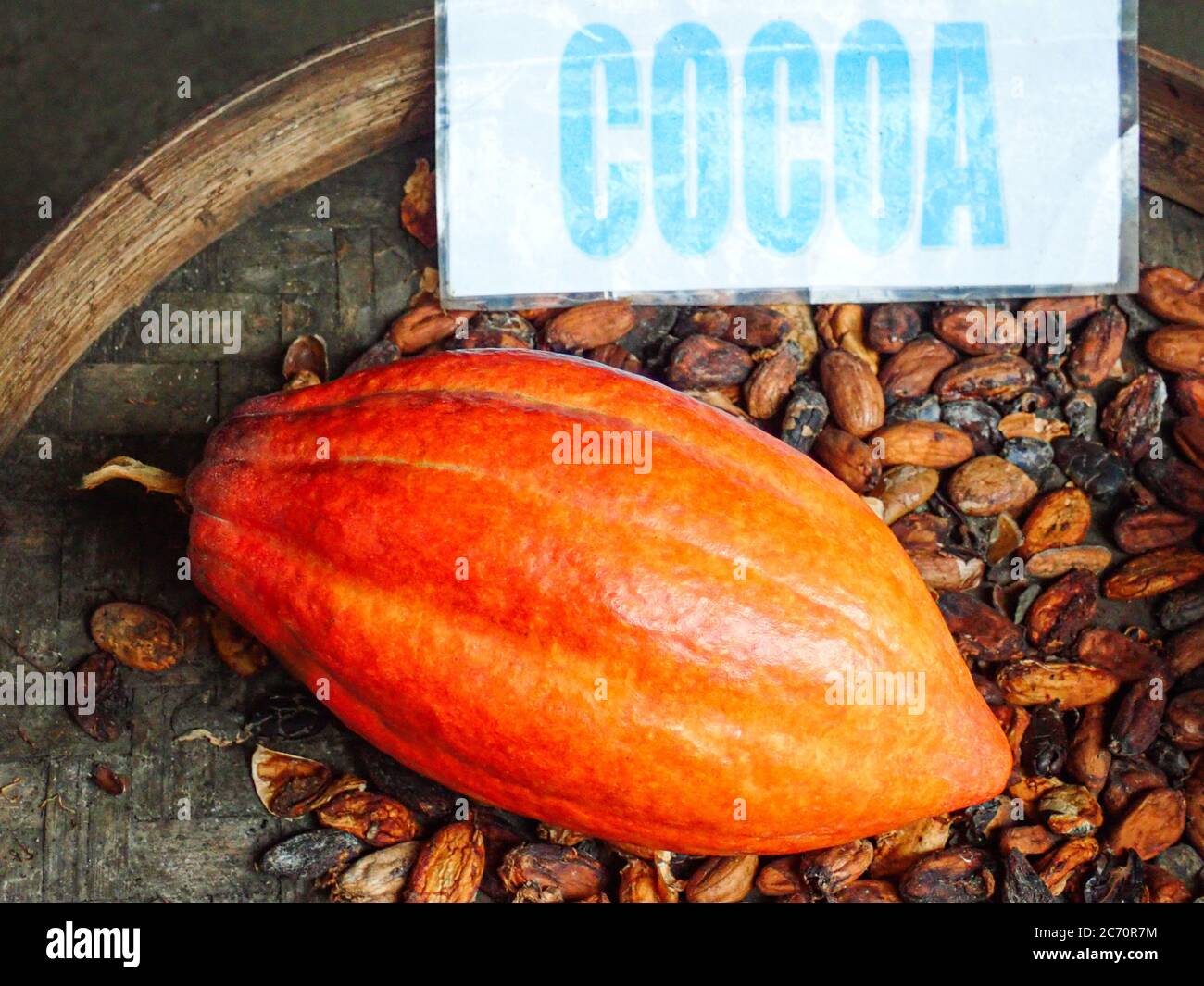 Cocoa fruit open hi-res stock photography and images - Alamy
