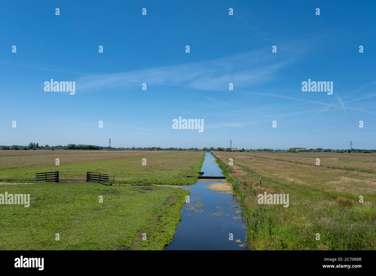 Dutch polder landscape during sunrise with riparian plants, meadows ...