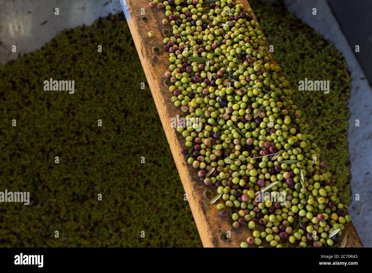 Olive oil extraction machine hi-res stock photography and images - Alamy