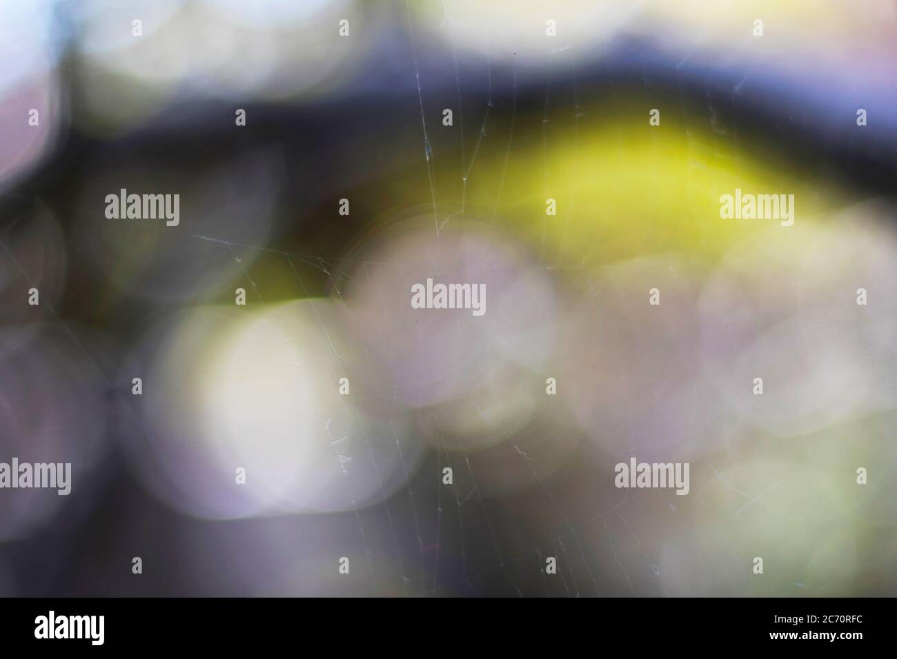 Abstract, texture and background of circles, no focus, blur and out of ...