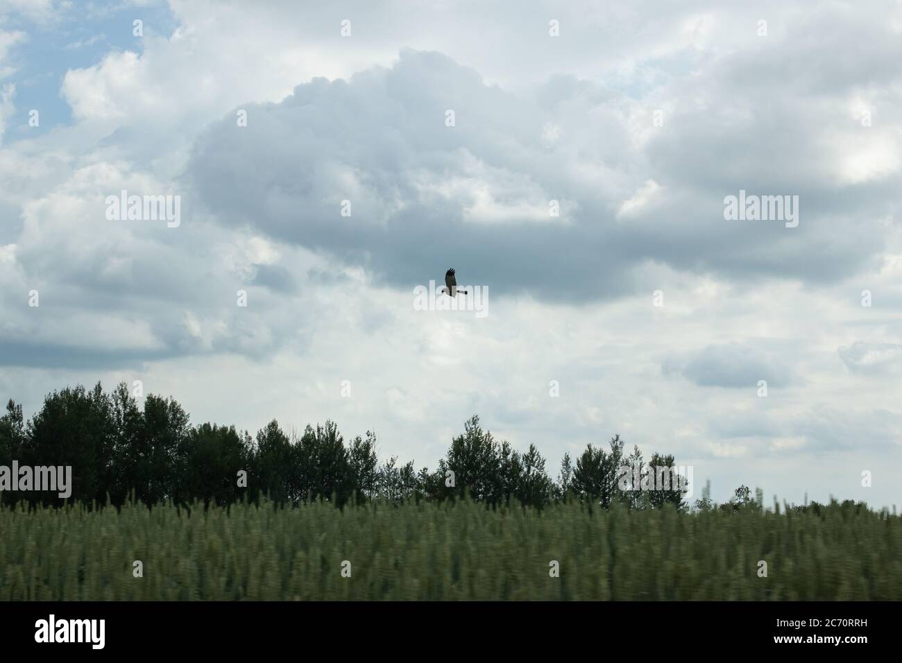 Fly over plain green field hi-res stock photography and images - Alamy