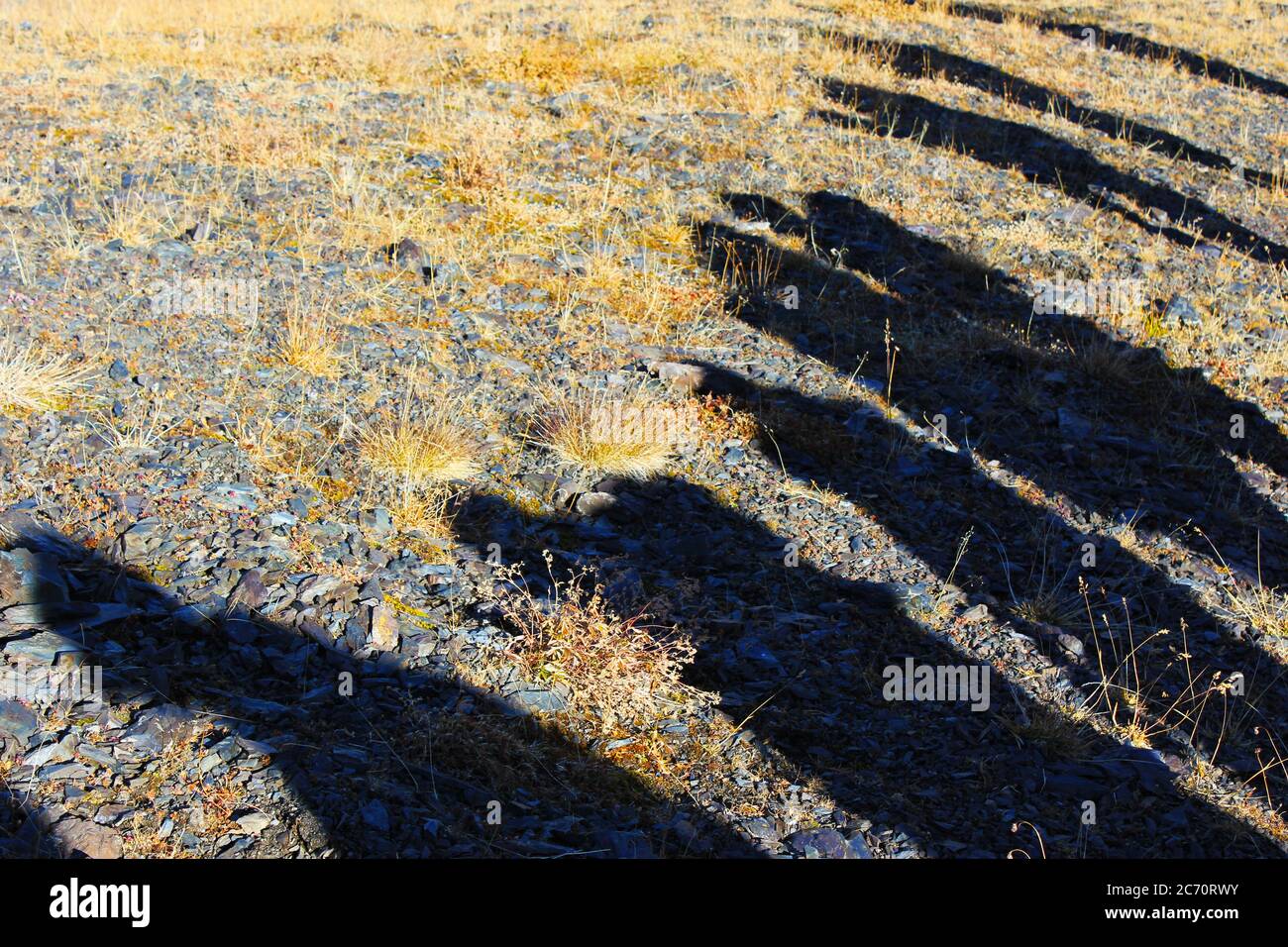 Human and people shadows on the land, sunlight and shadows. Crowd ...
