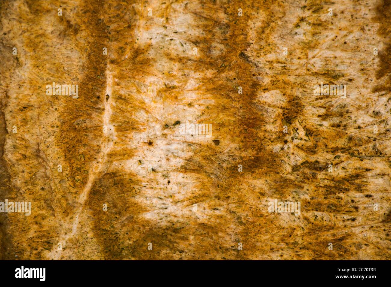 Yellow granite close-up and macro texture, granite for wall and floor ...