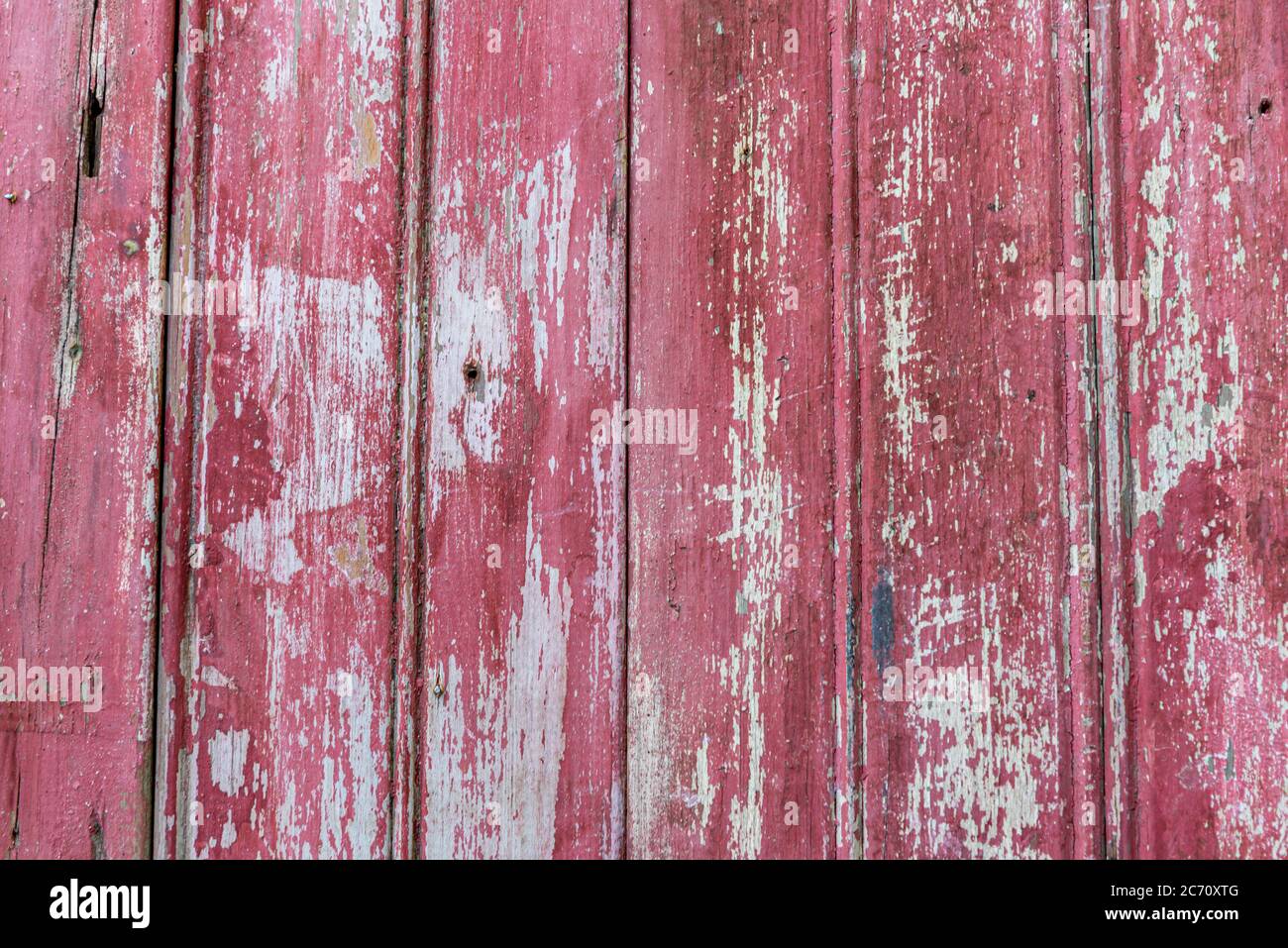 Wood texture. Processed pine boards. Planed wood. Scene background ...
