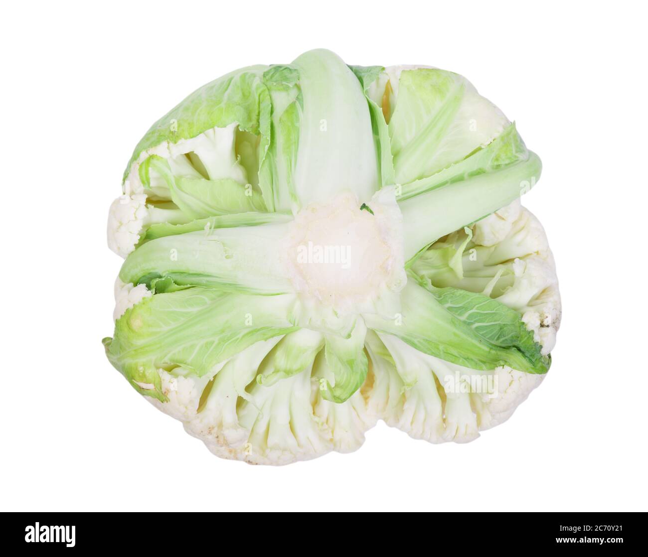 Back side of fresh cauliflower isolated on a white background Stock ...