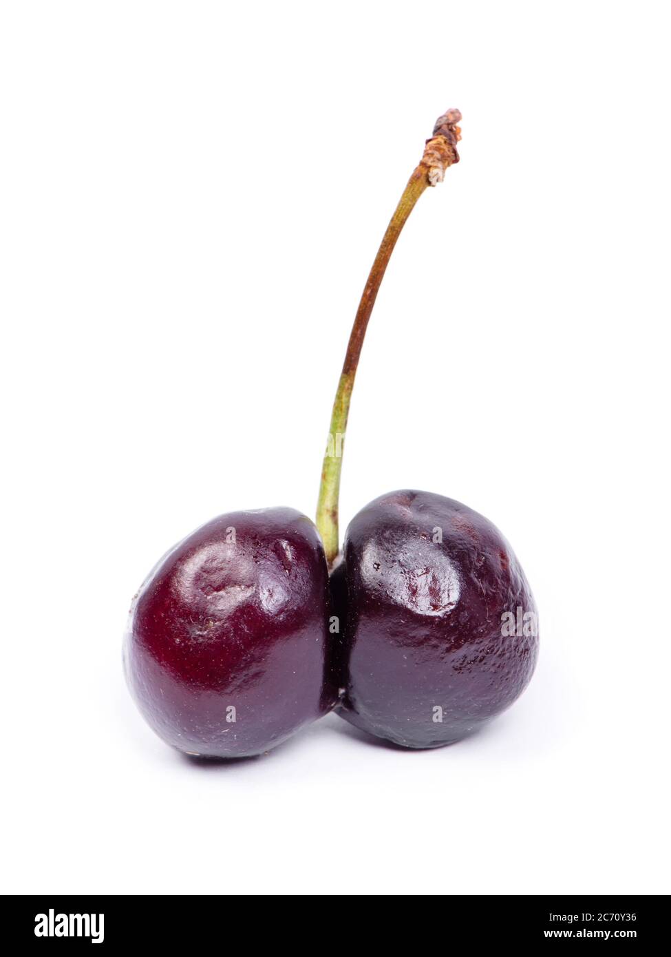 Double defective spoiled cherry isolated on white background Stock ...