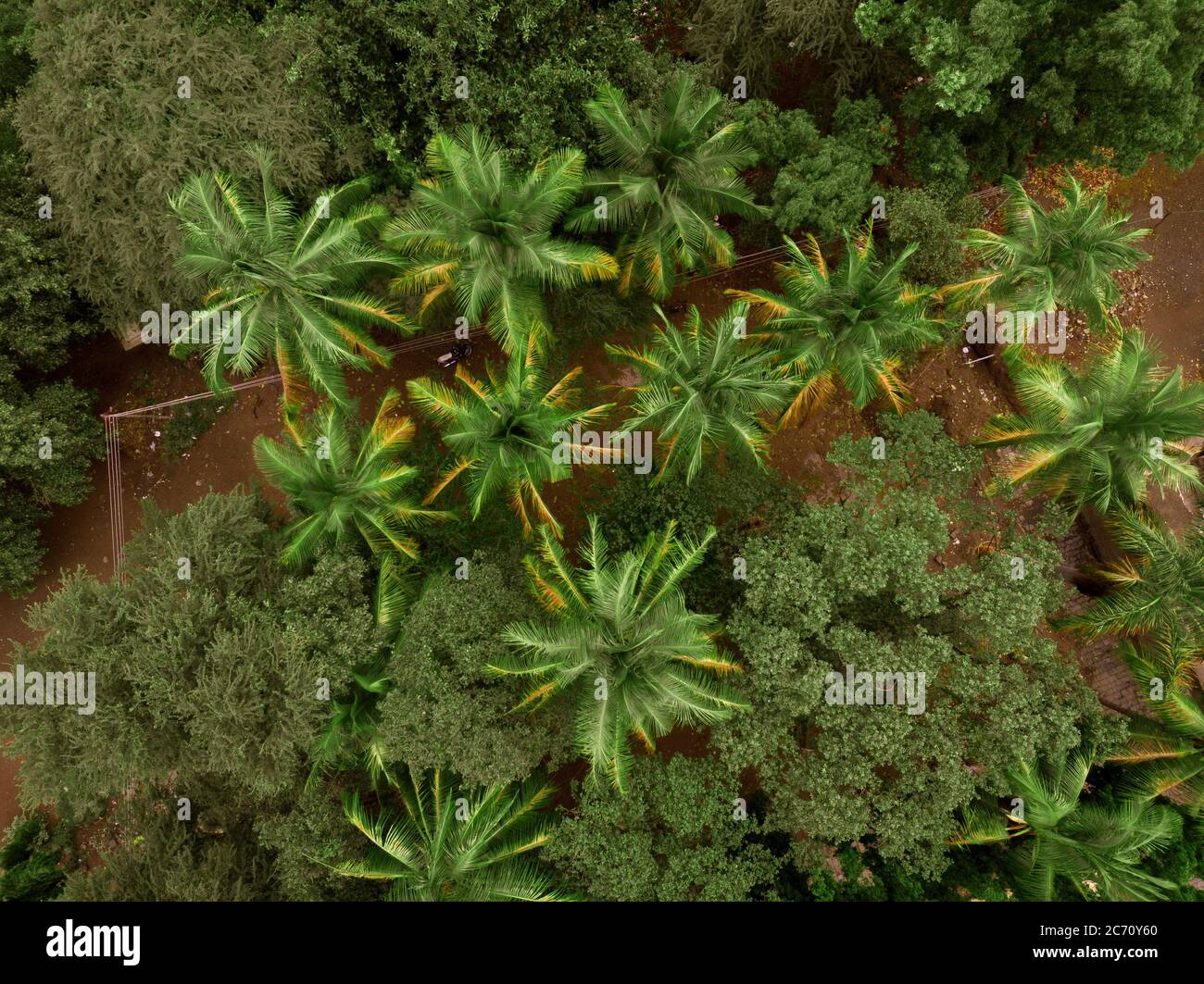 Aerial view nature hi-res stock photography and images - Alamy