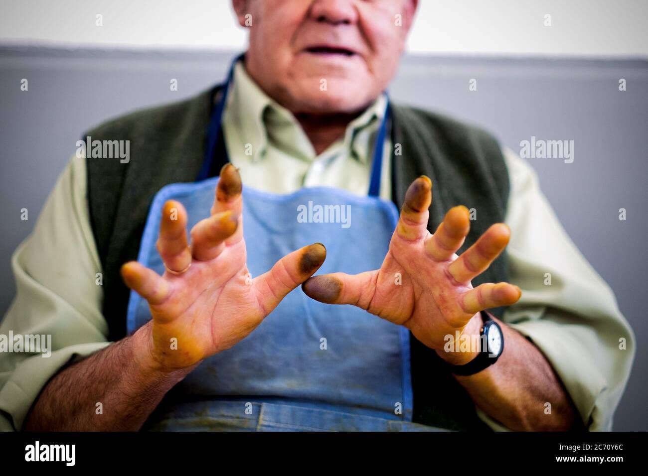 Ubaldo shows his tinted hands during the unblading of the saffron ...